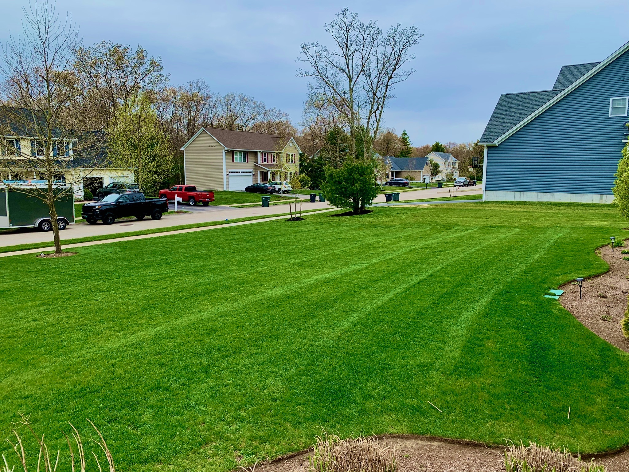 Lawn & Plant Maintenance - Wayside Landscaping